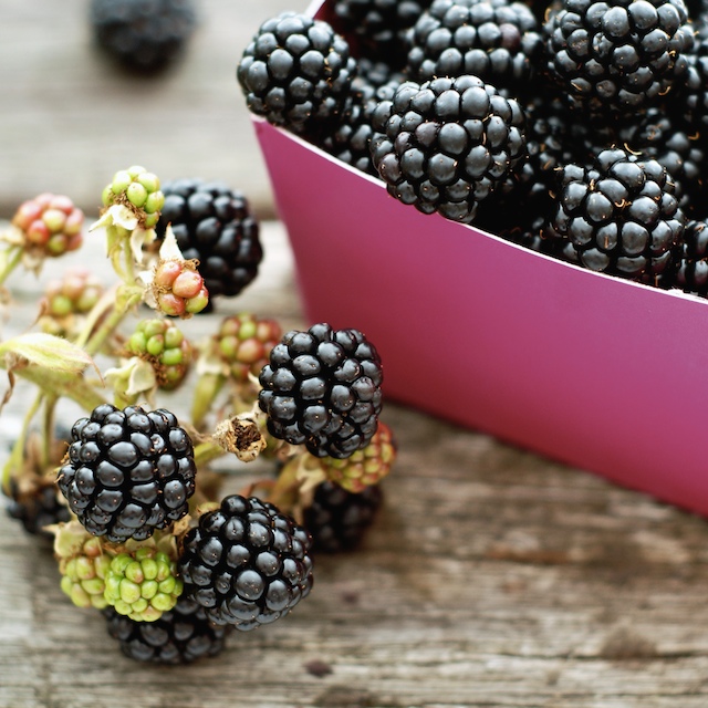 Bramble Crumble | Things we make