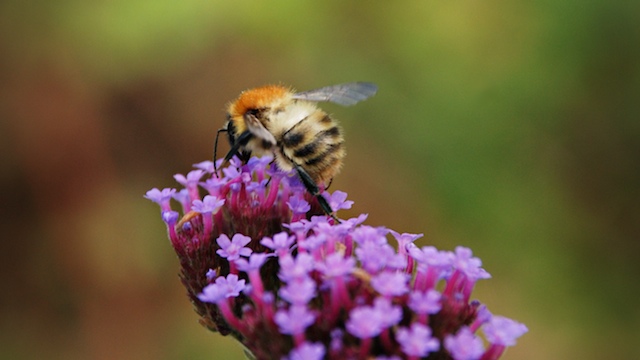 Autumn 2010 | Things we make